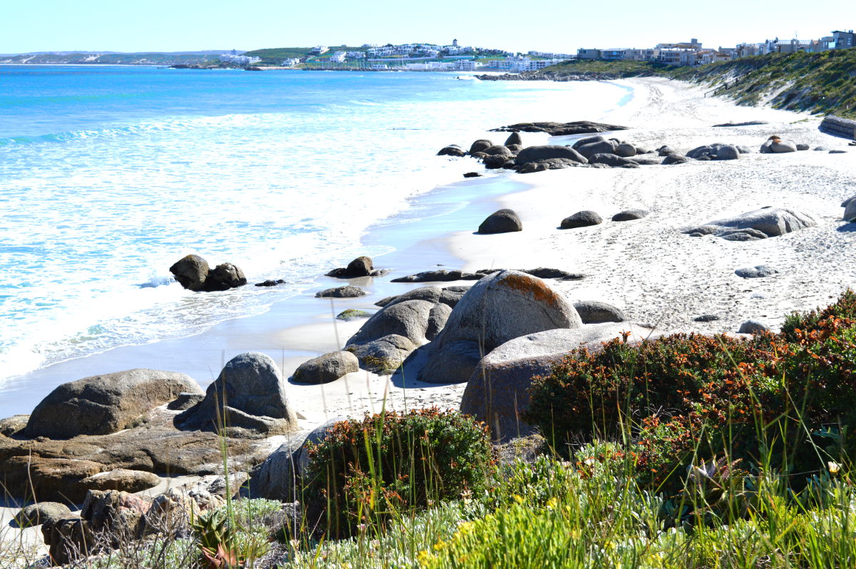 The Best Beaches in Langebaan